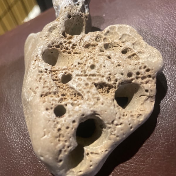 Beachcomber's Delight: Genuine Hag Stones From Croatia, Unique ...
