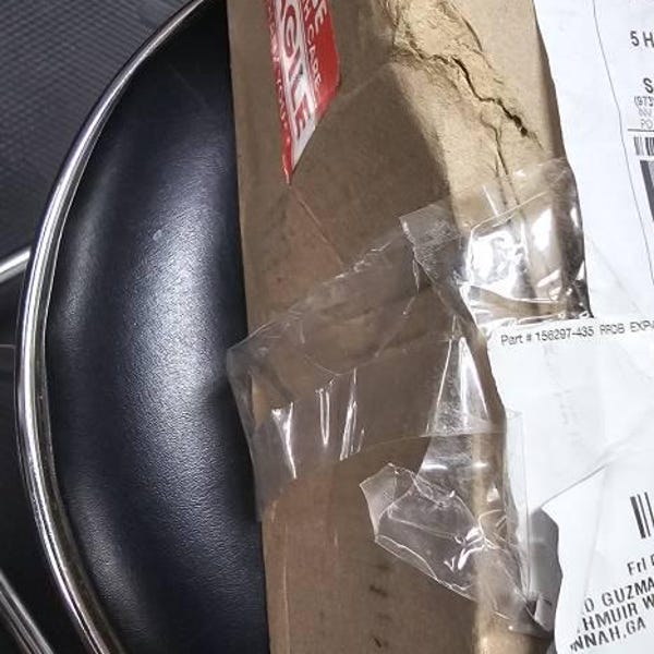 Juliette Mango Tree - 3 Gallon Drafted - Etsy