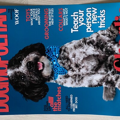 Personalized Dog Prints Magazine Covers Pet Portraits - Etsy Canada