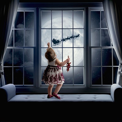 25 Pine Tree Branch Overlays, Christmas Tree Shoot Throughs - Etsy