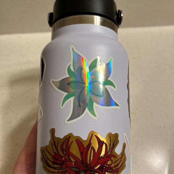 Sophie & Calcifer Digital Artwork | Howl’s Moving Castle | PNG High ...