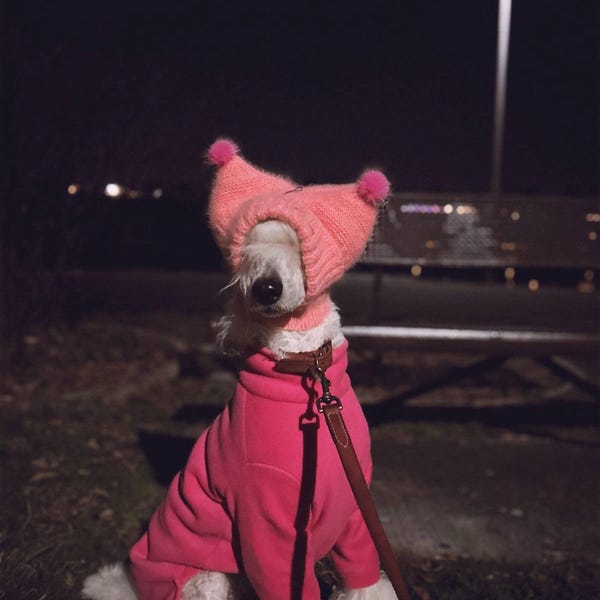 Pink Knitted Dog Hats, Dog Pom Pom Hat, Puppy Hat, Caps for Dogs ...