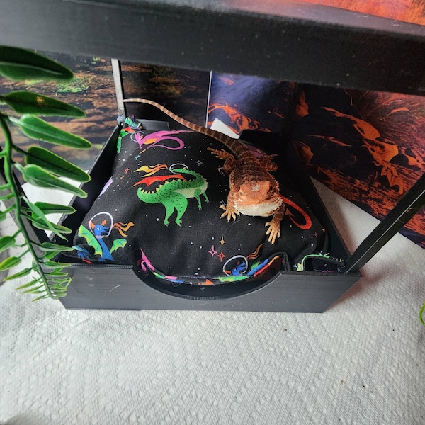 Large Insect Breeding Water Dish, Reptile Feeding Dish, Pet Food Bowl ...