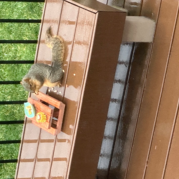 Helping Hand Wall Mounted Key Holder / Wallet Holder / Glasses Holder ...