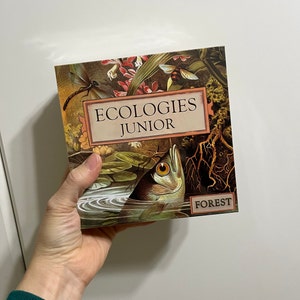 Ecologies Junior: Forest Memory Game and Food Web Builder for Ages 4 ...