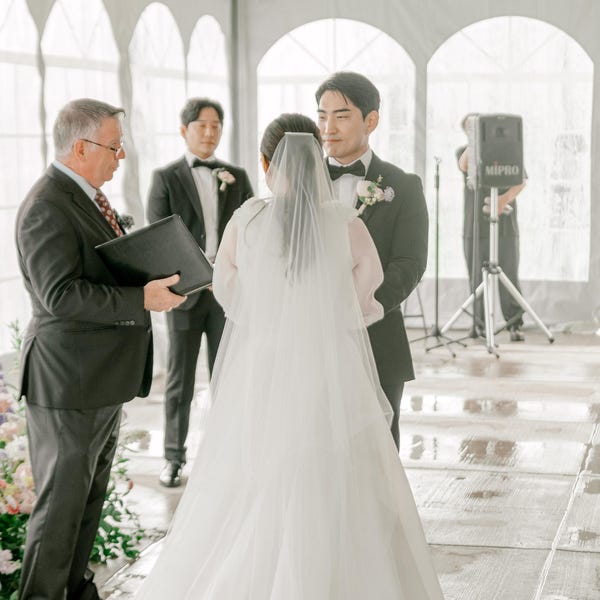 Sheer Drop Bridal Wedding Veil With Waist Length Blusher, Barely There ...
