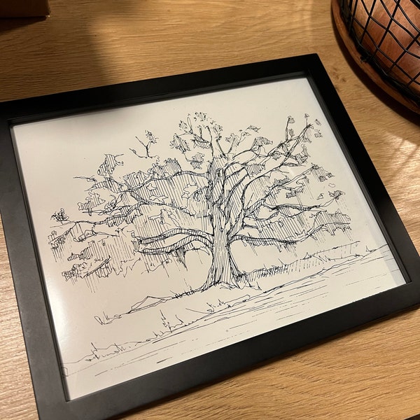 LIVE OAK TREE With Spanish Moss - Pen and Ink Drawing, Line Drawing ...