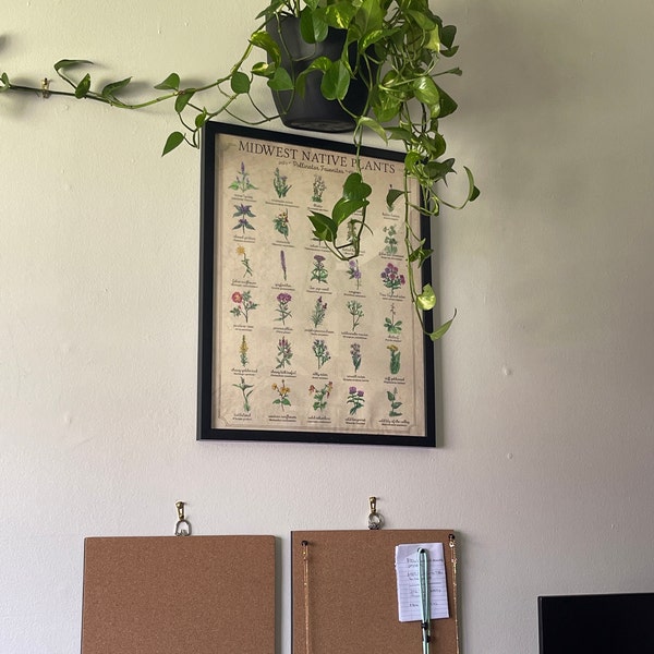 Wildflower Poster, Pollinator Plants Poster, Vintage Wildflower Print ...