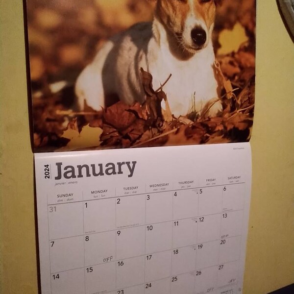 Labradoodles Calendar 2025 Square 30cm X 30cm 100% Plastic Free - Etsy