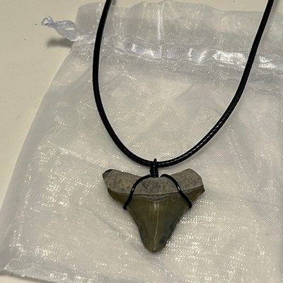 UNIQUE 3.75 Inch Megalodon Shark Tooth Large Fossil, Real Meg Teeth ...
