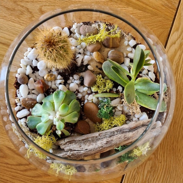 Build Your Own Custom Terrarium Kit | Terrarium With Glass & Succulents ...