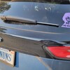 Scream, Stu Macher, i'll Be Right Back, Matthew Lillard, Vinyl Decal ...