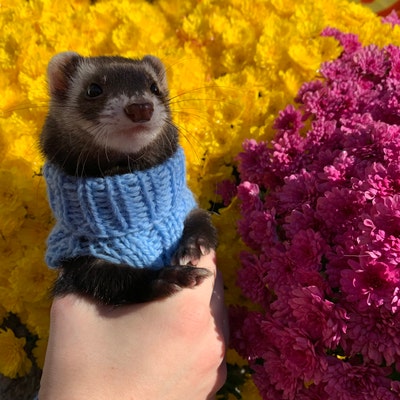 Various Colours Ferret Sweater Jumper. Hand Knitted Handmade Wool ...