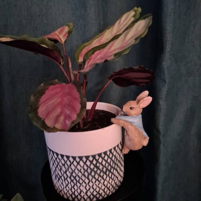 Peter Rabbit Pot Buddy Beatrix Potter Peter Rabbit Pot Hanger Gift ...