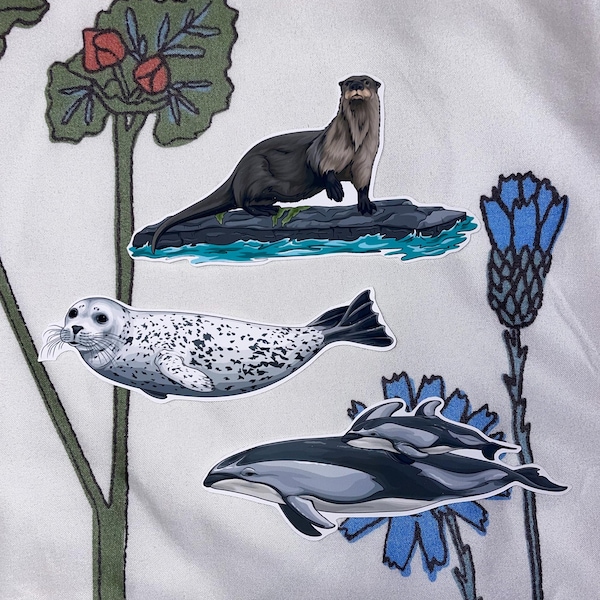 North American Bison Sticker Pack – Set of 6 Vinyl Decals – Perfect for ...