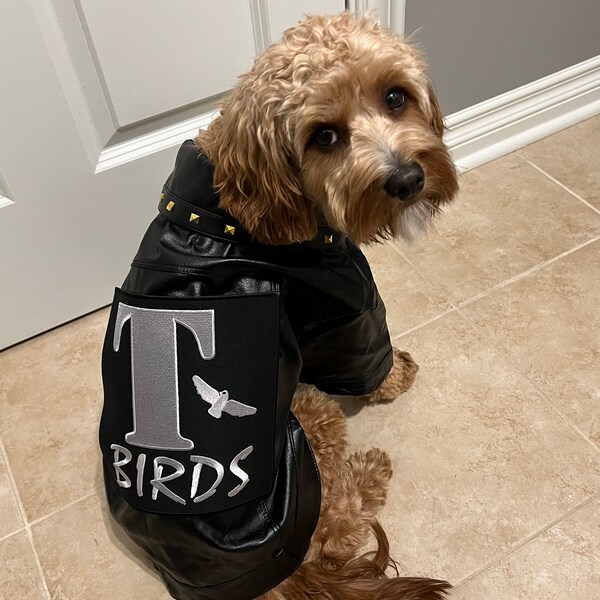 T-birds Patch (8 Inch) Extra Large Tbirds Grease Movie Embroidered Sew ...