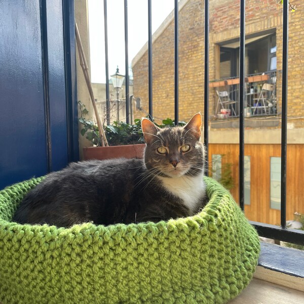 The Hand Knitted Toggle Cat Scarf - Etsy