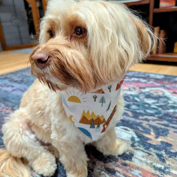 Ruff Hippie Dog Bandana Tie and Snap, Green Mushrooms - Etsy
