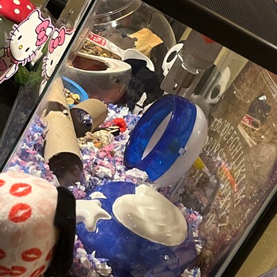 DIY Cardboard Beehive Hamster House - Etsy