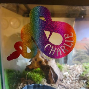 Customizable Name Ball Python Snake Vinyl Decal READ - Etsy