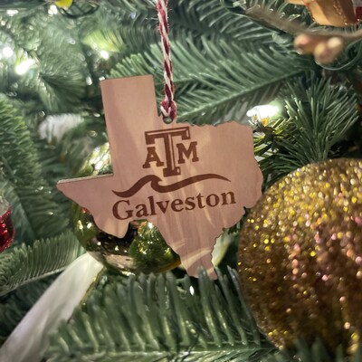 Texas A&M Aggie Ring Day Decor Bundle-aggie Ring Day-aggie - Etsy