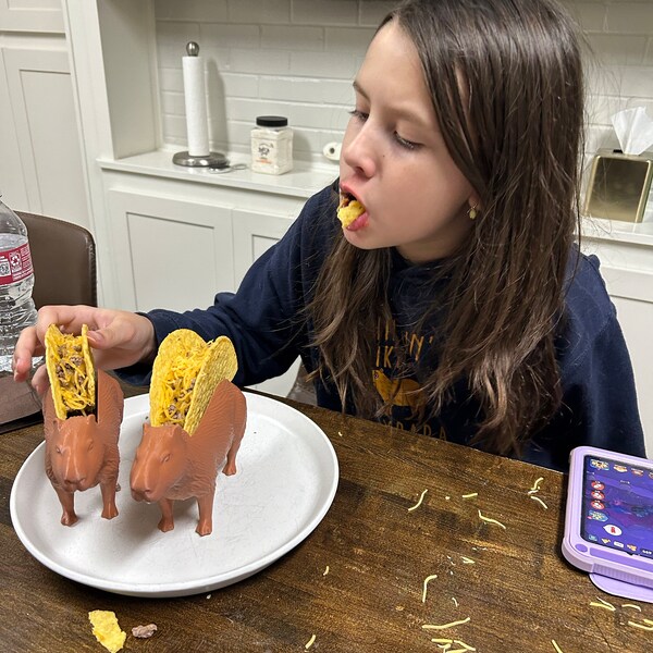 Capypooper - Capybara Toothpaste Topper | Capybara Toothpaste Cap ...