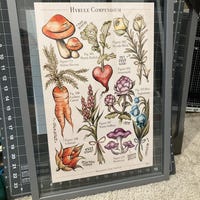 Hyrule Compendium Breath of the Wild Tears of the Kingdom Botanical ...
