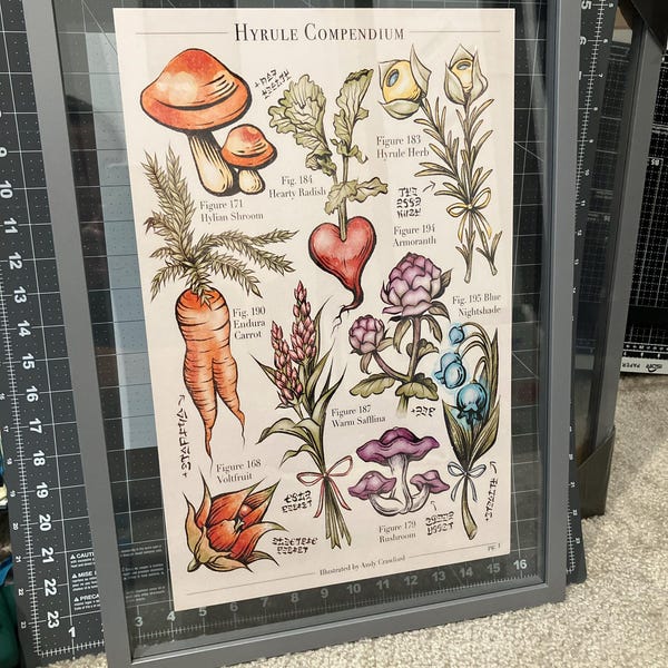 Hyrule Compendium Breath of the Wild Tears of the Kingdom Botanical ...