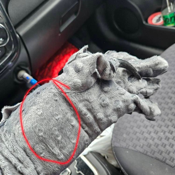 Psycho Wasteland Respirator Gas Mask Post Apocalyptic, Hunter, Wanderer ...