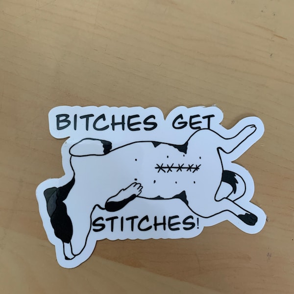 Veterinary Receptionist Sticker Pack, Vet Stickers, Vet Med Stickers ...