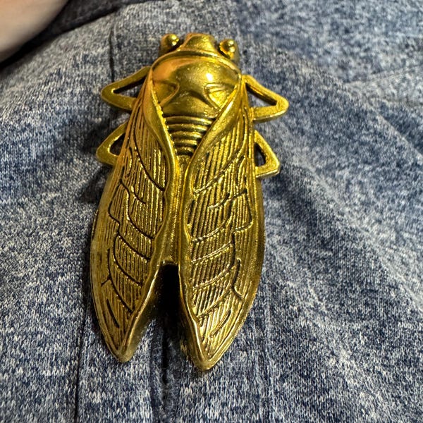 Gold Cicada Button Cover for Shirt Collar or Fake Cufflinks Brooch - Etsy