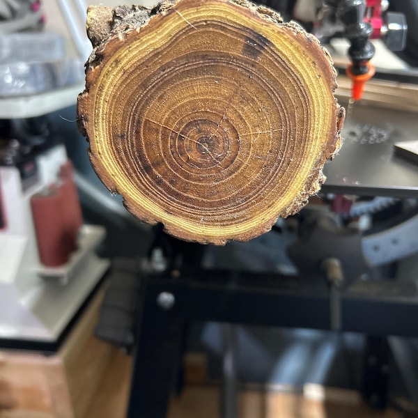 Honey Locust Project Log, Green Project Wood for Woodworking, Wood ...