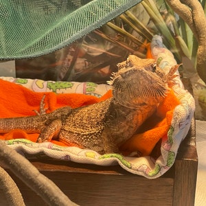 Vintage Metal File Rack 1970s 80s Wood Look Office Organizer - Etsy