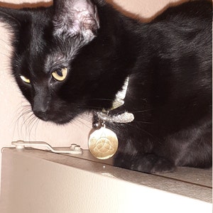 Jeepers Creepers Inspired Patch BEATNGU License Plate Patch | Etsy