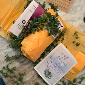 Succ-Cess Success You Did It Graduation Succulent Gift | Etsy