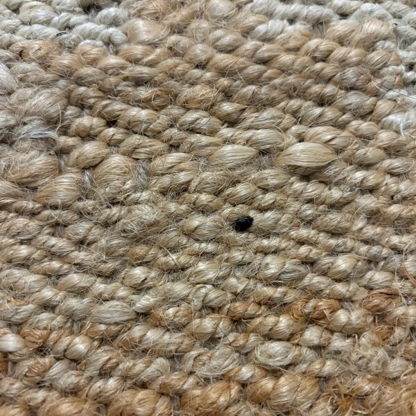 5x8 Ft. Indian Kilim Wool Jute Rug Rectangle Shape Rug Every Color ...