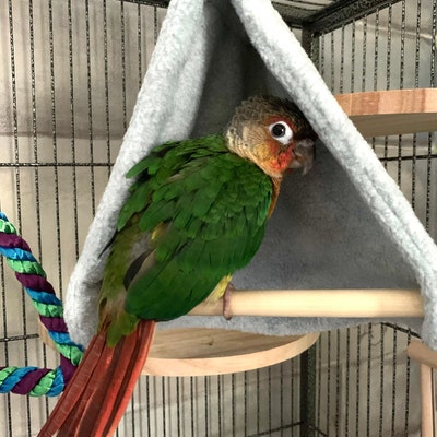 Handmade Cozy Bird Tent With a Perch. Perfect for Caiques - Etsy
