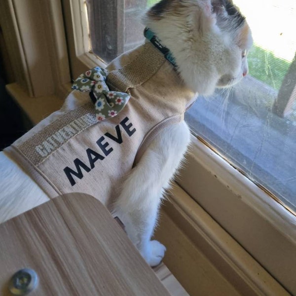 Custom Iron on Text Transfers - Text Font & Length Ready for Press Heat ...