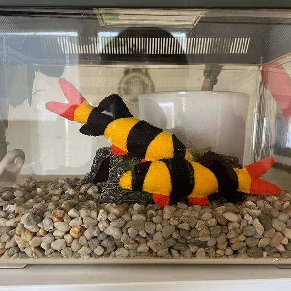 Night Sky Manta Ray Plushie Stuffy Felt Sting Ray Star Midnight ...