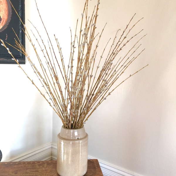 60" Curly Willow Stems/ Curly Willow Branches/ 50 Count / Floral Design ...