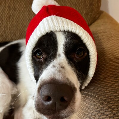 Red Christmas Knitted Hat / Beanie for Cat or Dog, Small and Large ...