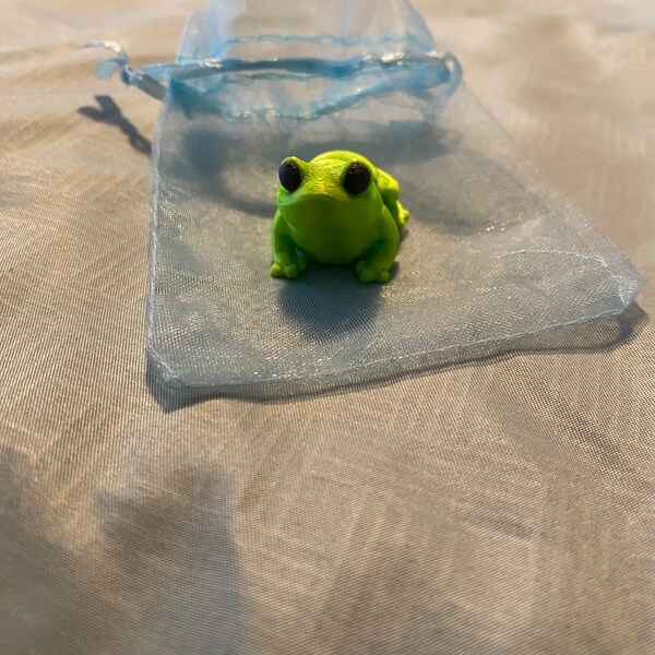 Fidget Frog Fidget Toy, Articulated Sensory Toy, Tiny Frogs, Flexible ...