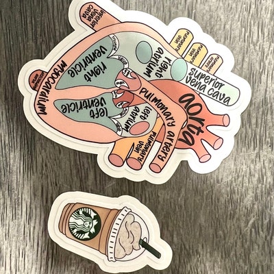 Set of 6 Sterile Processing Tech Stickers Water Resistant Vinyl ...