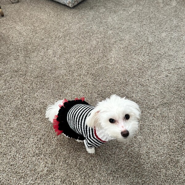 12 Patriotic Handknit Gnome - Etsy