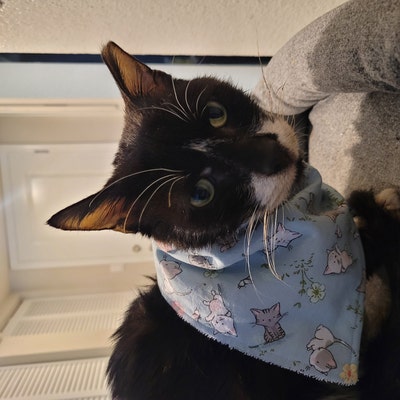 Sea Turtle Bib, Turtle Baby Gift, Baby Boy, Baby Girl, Bandana Bib ...