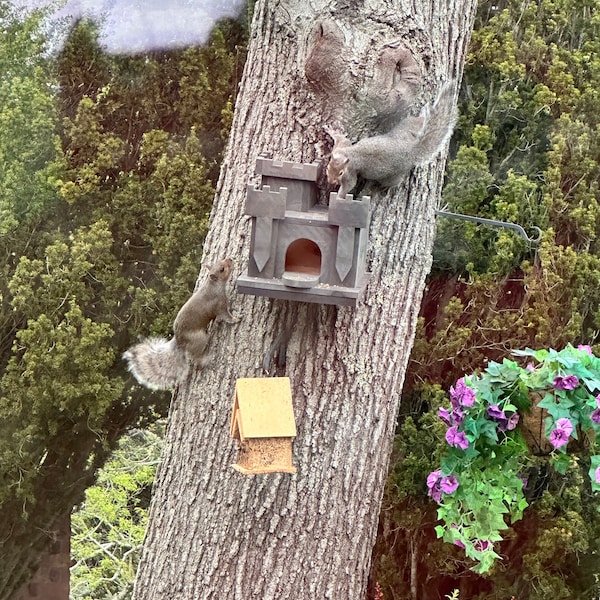 Squirrel Nesting Box, Castle, Squirrel House - Etsy