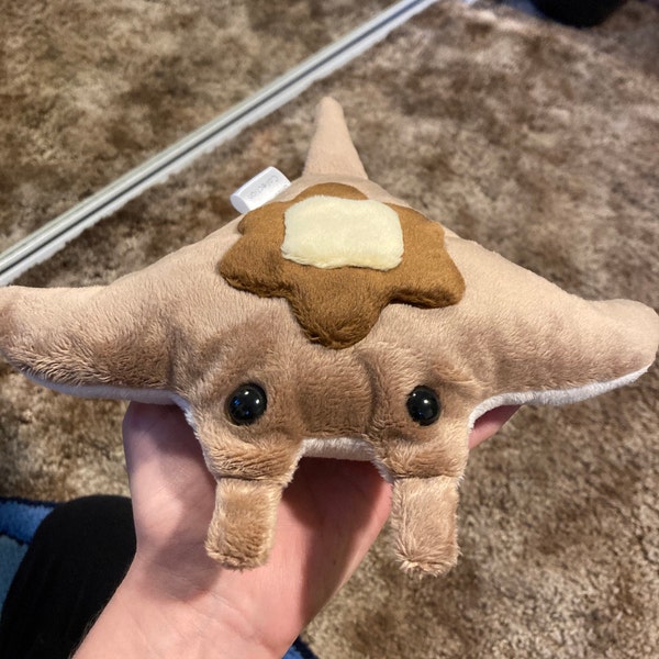 Sea Pancake Manta Ray Plush - Etsy