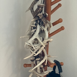 Elk Antler/shed Display Hanger - Etsy