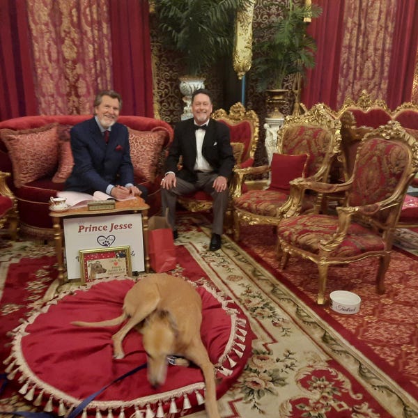 D’orlan Phoenix Brooch. D’orlan Bird of Paradise Brooch. D’orlan ...