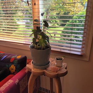 Lotus Flower, Plant Stand, Plant Stool, Plant Shelf, Side Table, Gift ...